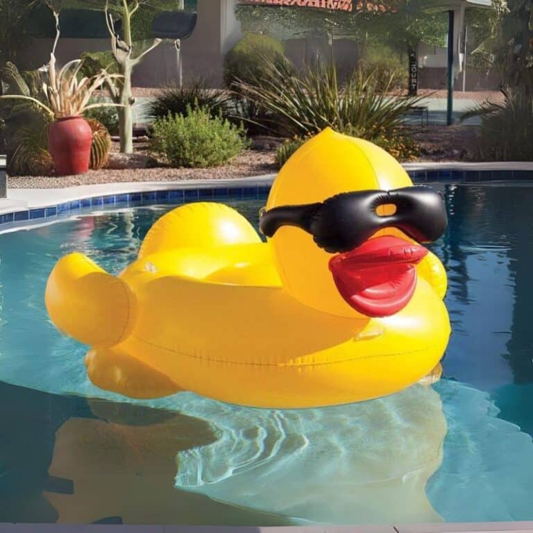 20 Bouées Adulte Originales Pour Frimer Au Bord De L'eau - Monsieur Cadeaux